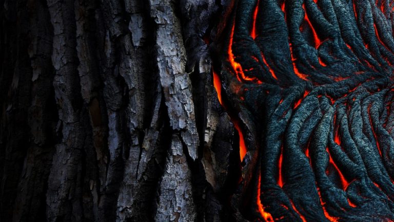 14 Texture Photography Tips and Tricks for Creative Images