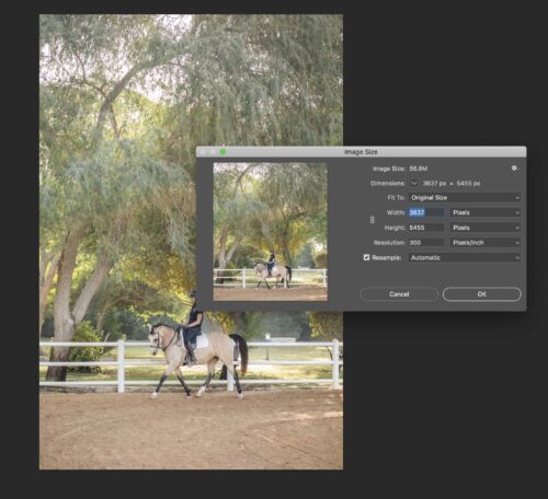 How to Increase the Resolution of an Image in Photoshop
