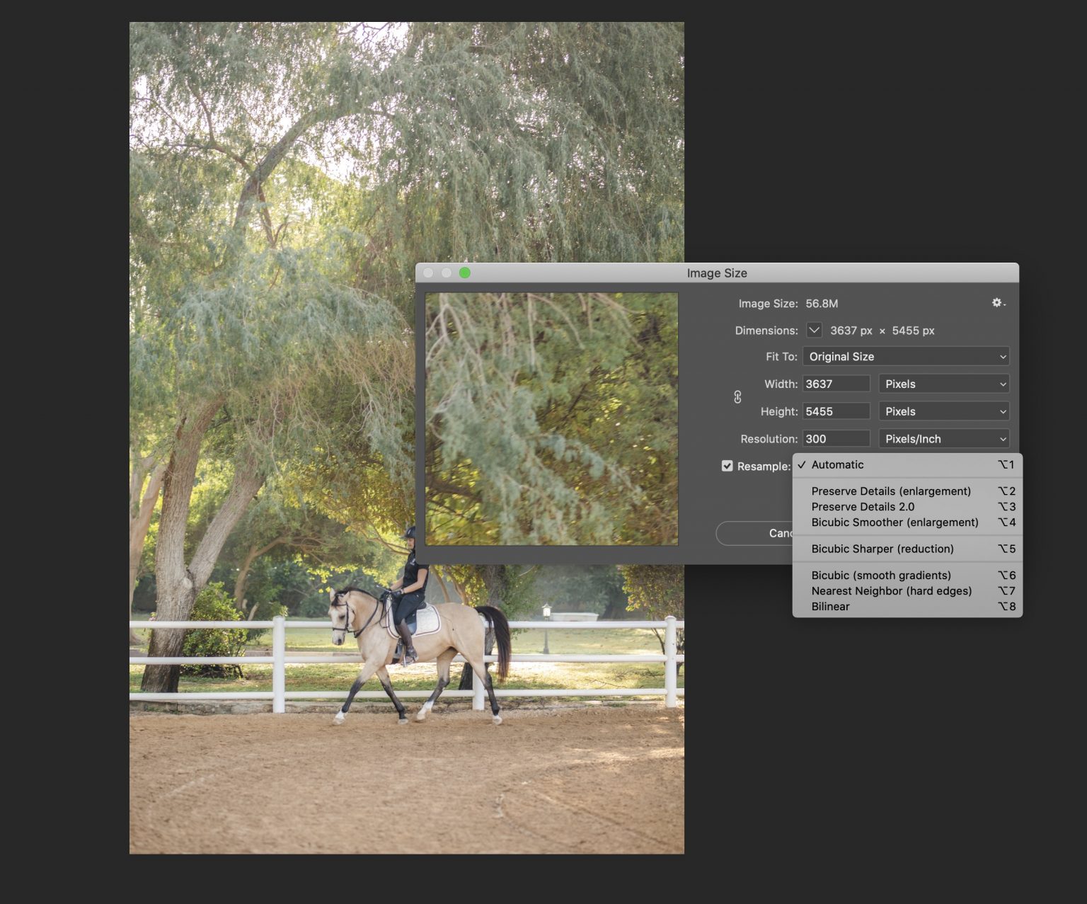 How to Increase the Resolution of an Image in Photoshop